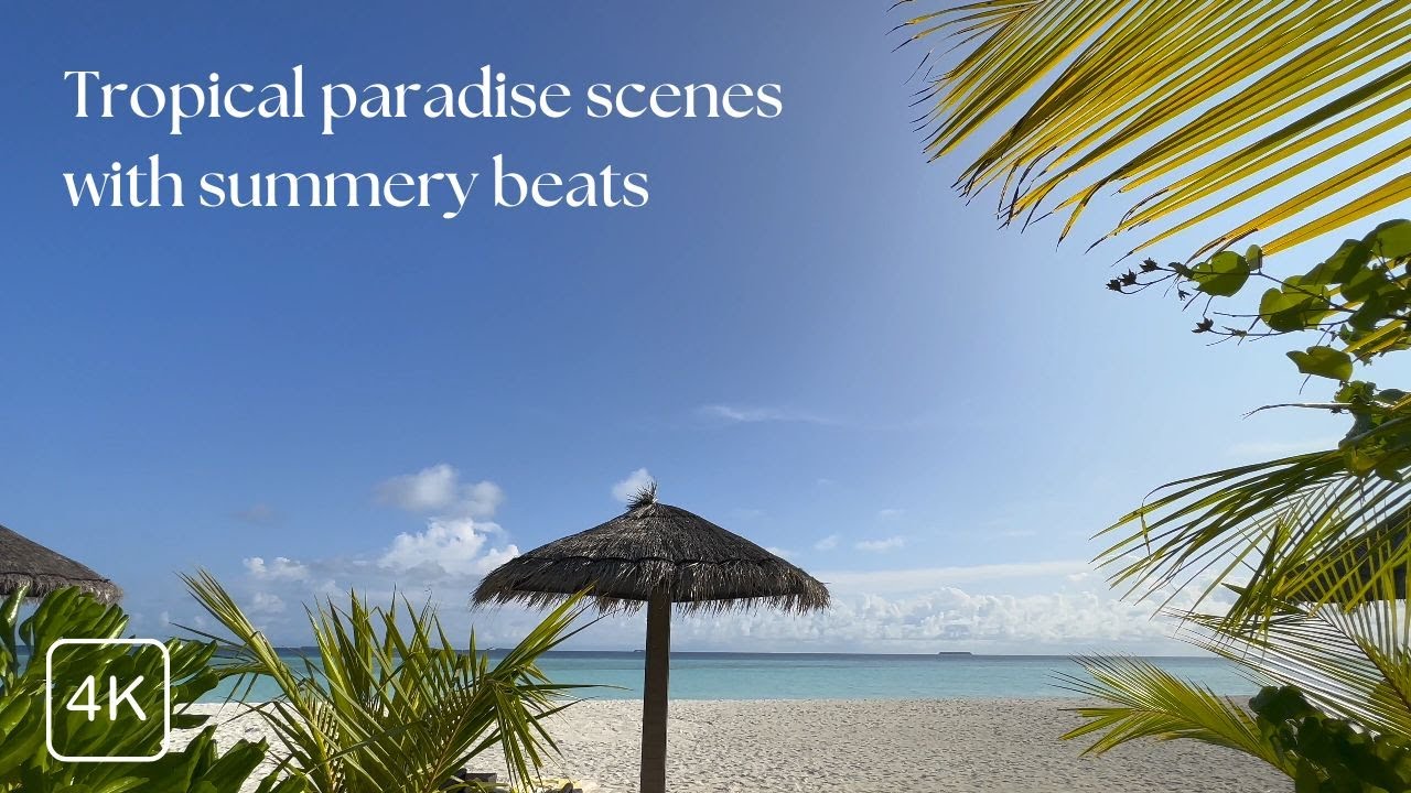 Sun, Sand, and Sounds: Unwind with Tropical Island Scenes and Summer ...