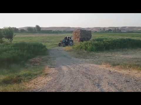 Talehin traktoru . ЮМЗ