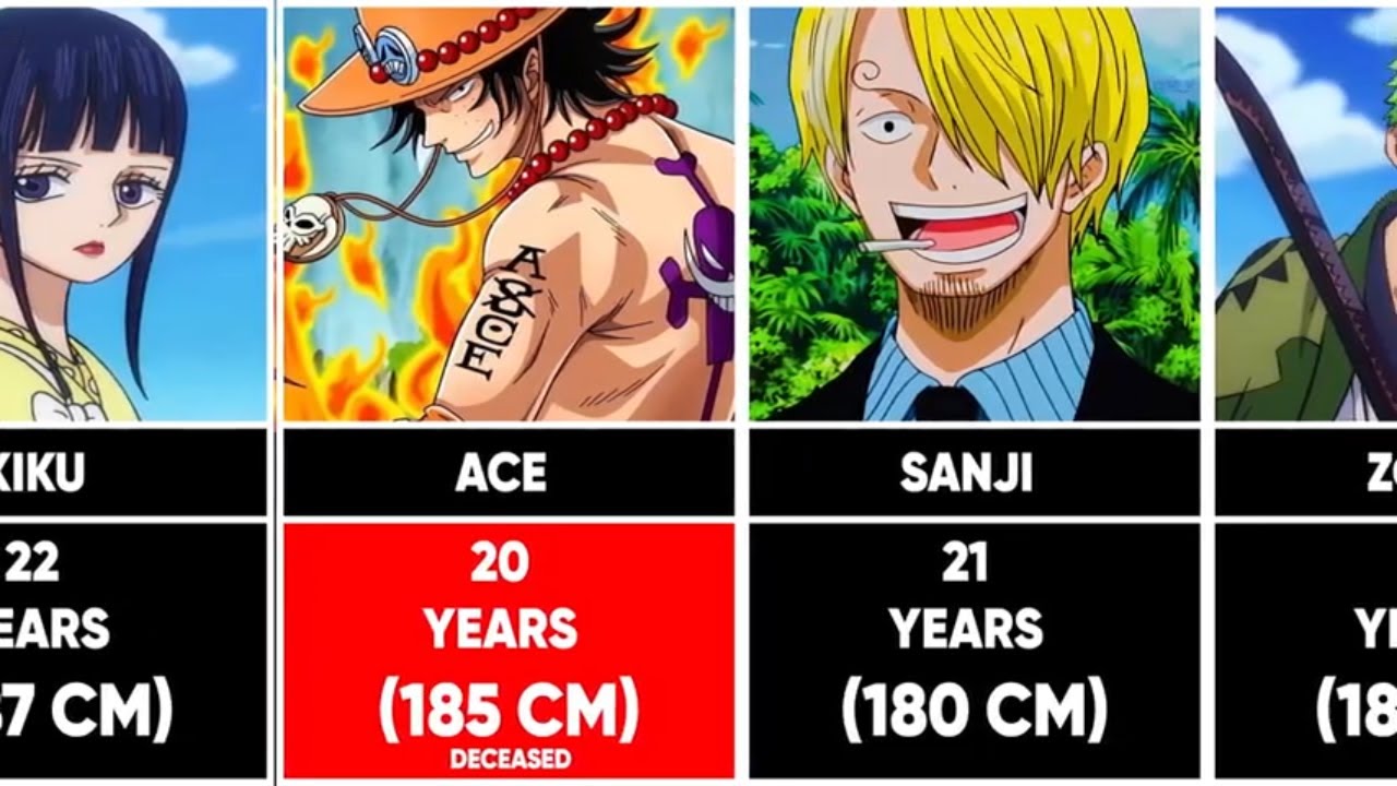 Age of One Piece Characters COMPARISON - YouTube