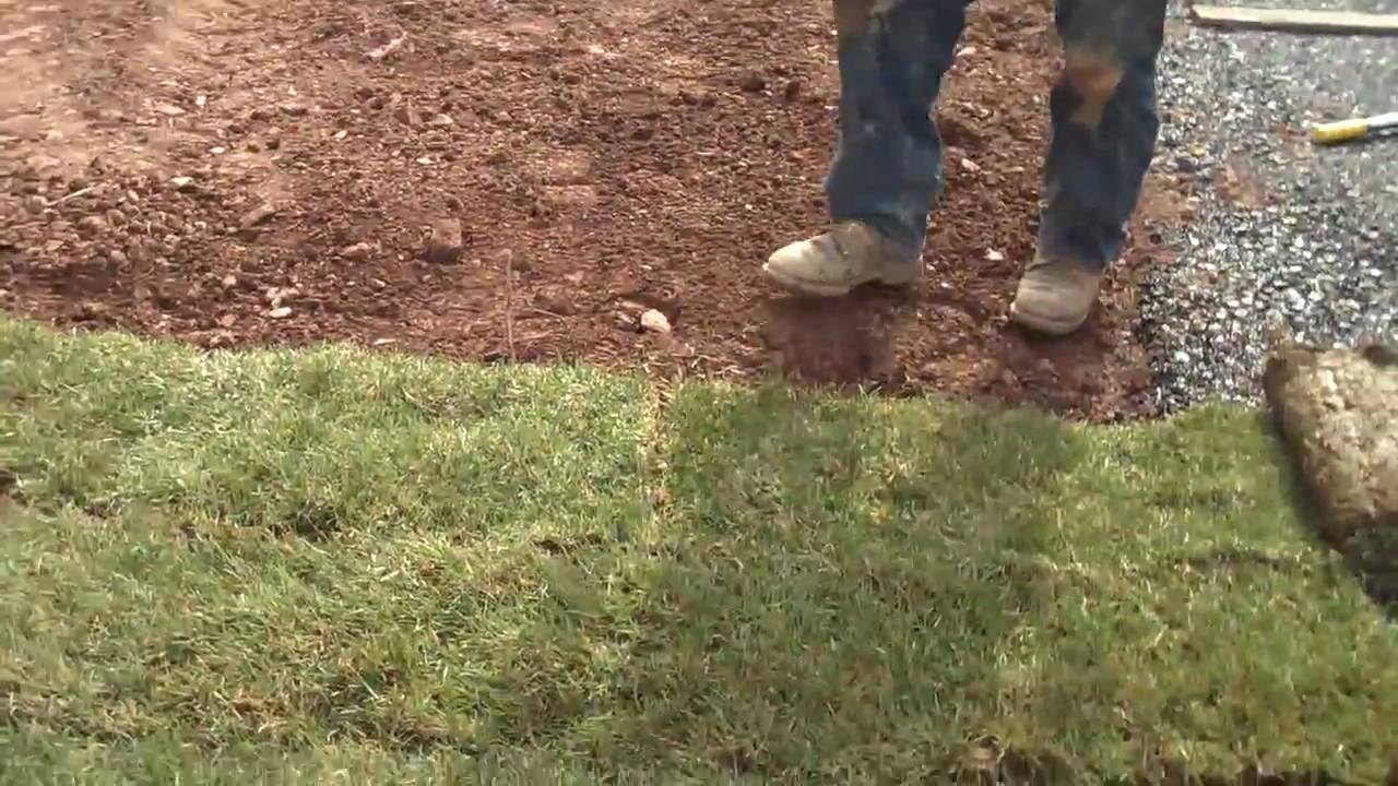 Turf Installation Process w/ Chris Orser Landscaping - YouTube