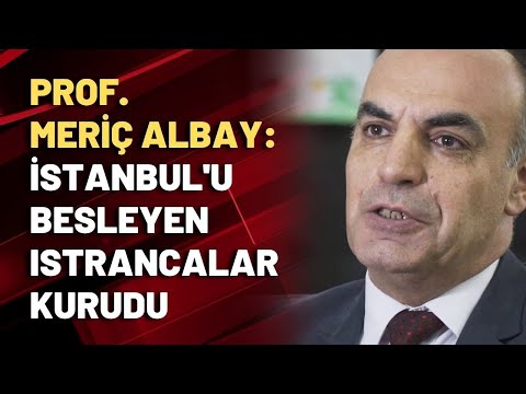 Prof. Meriç Albay: İstanbul'u besleyen ıstrancalar kurudu
