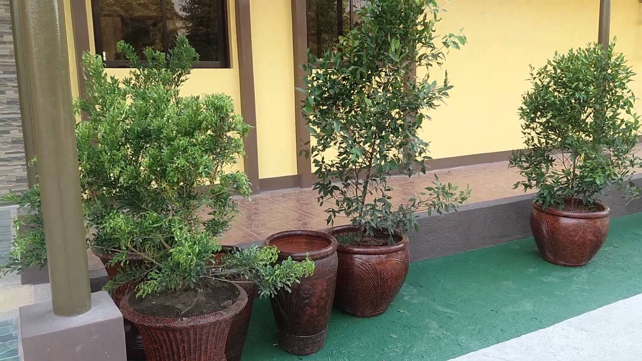 Masjid Al Ridwan @ISCAG Compound - YouTube