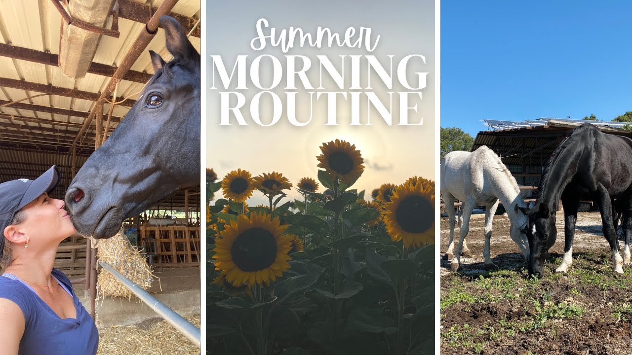 ☀️ Summer Equestrian Morning Routine | How I Take Care of my Horses 🐴 # ...