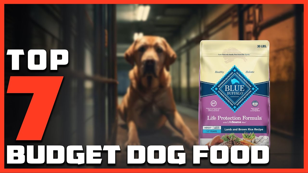 Budget Dog Foods Review: Affordable Quality Picks" - YouTube