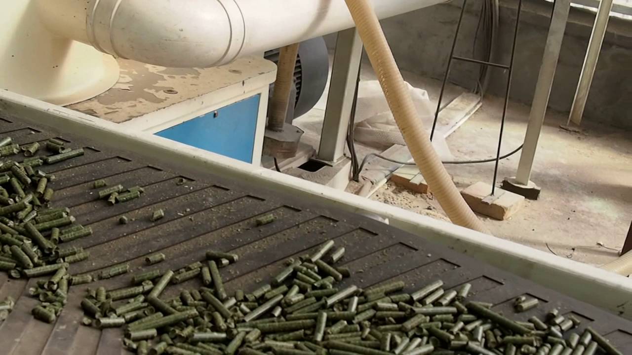 Biomass pellet making ,wood pellet making machine - YouTube