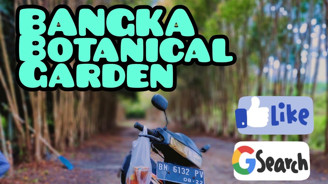 🔴BANGKA BOTANICAL GARDEN (19/02/2021) - YouTube