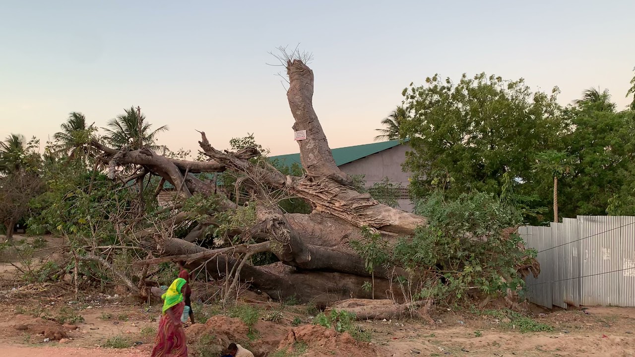 THE AFRICAN TIMES - Dar Es Salaam - what an Amazing sight to see ...