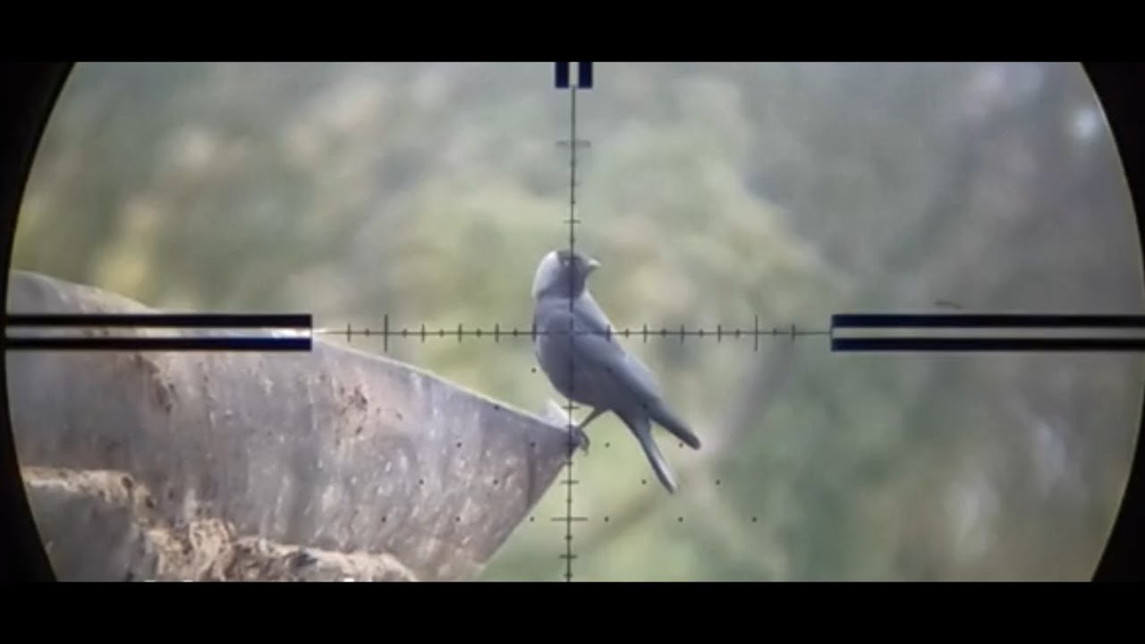 Pest Control Compilation - YouTube