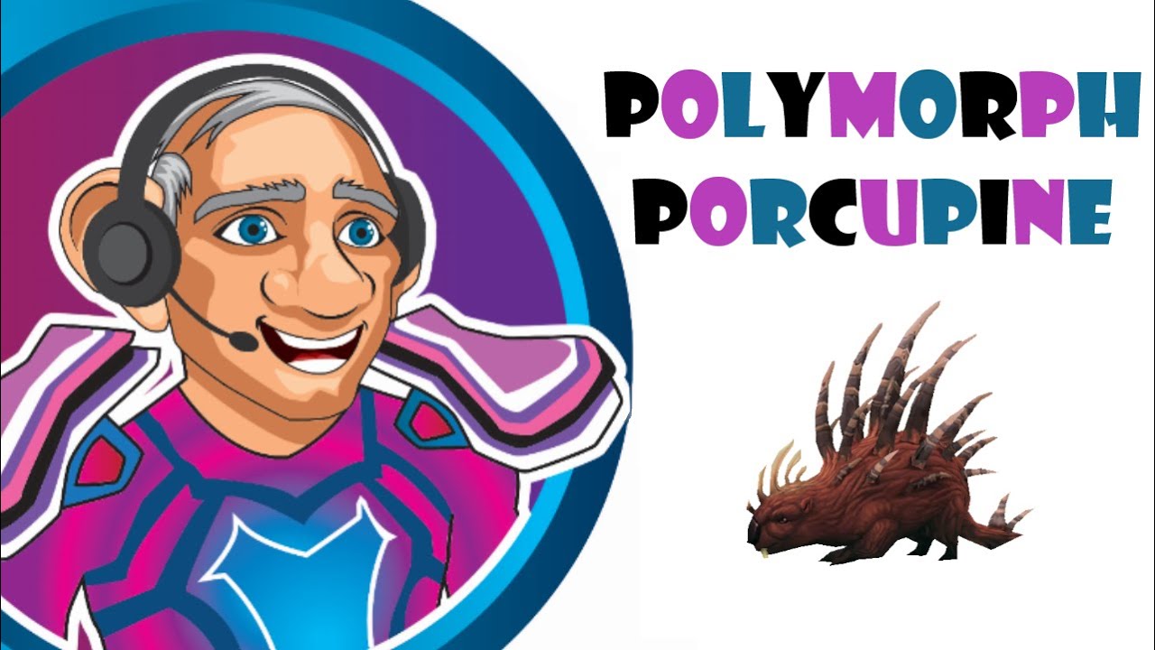 World of Warcraft (WoW) - Polymorph Porcupine - YouTube