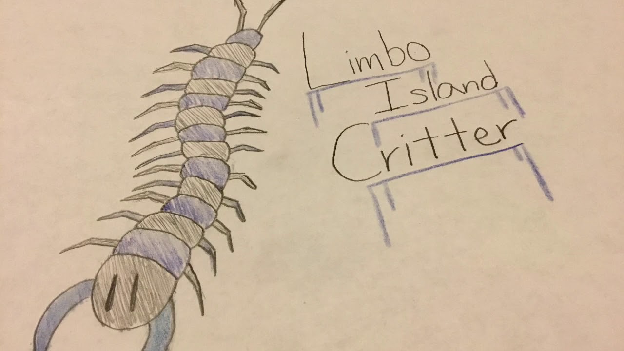 Limbo Island Critter #LimboIslandContest - YouTube