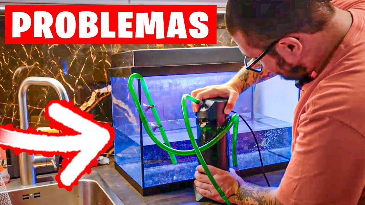 PROBLEMAS CON EL FILTRO DE MI ACUARIO DE 50L ¿FILTRO ROTO? #ARA3 - YouTube