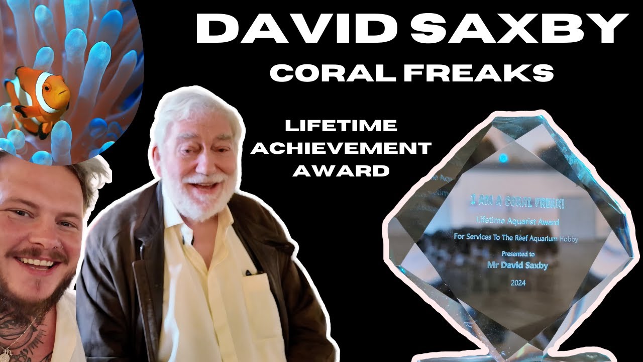 David Saxby Wins Coral Freaks Lifetime Achievement Award | Celebrating ...