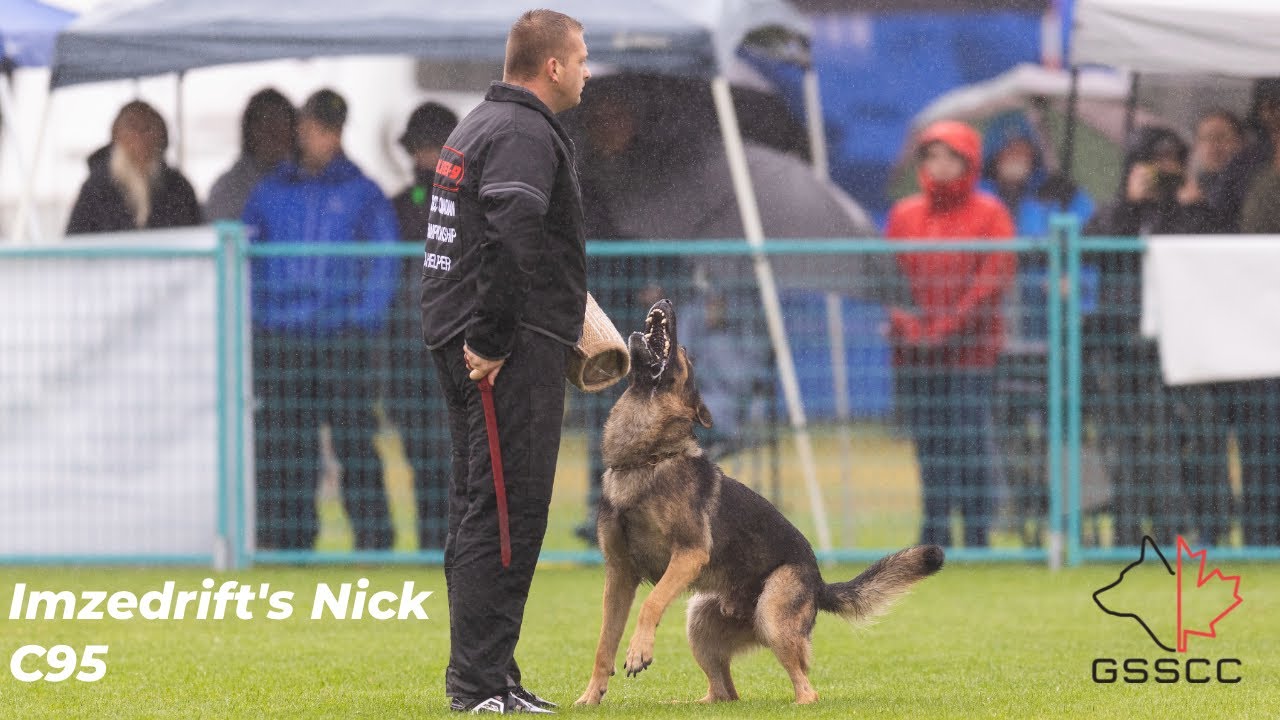 Luca Mazzucco & Imzedrift's Nick C95 GSSCC National 2024 - YouTube