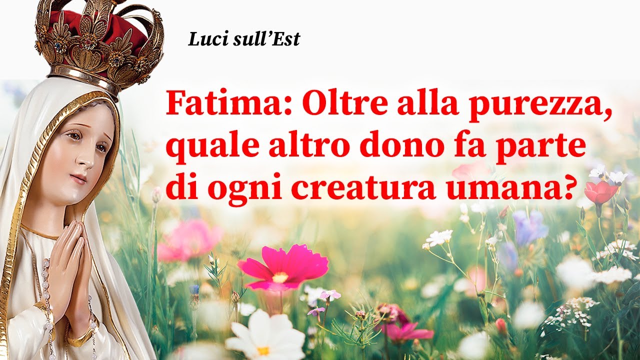 Fatima: Oltre alla purezza, quale altro dono fa parte di ogni creatura ...