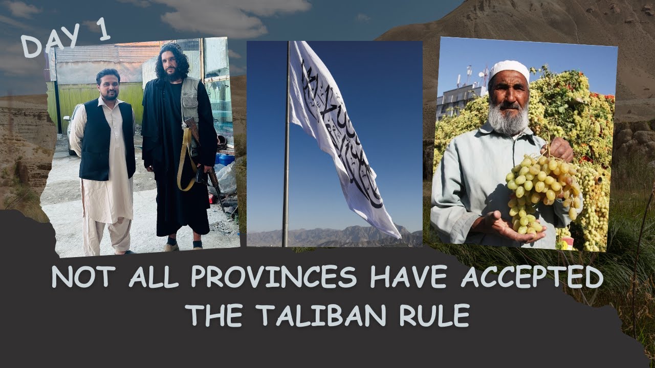 How safe is Kabul under Taliban | Bird Market | Supporting Agriculture ...