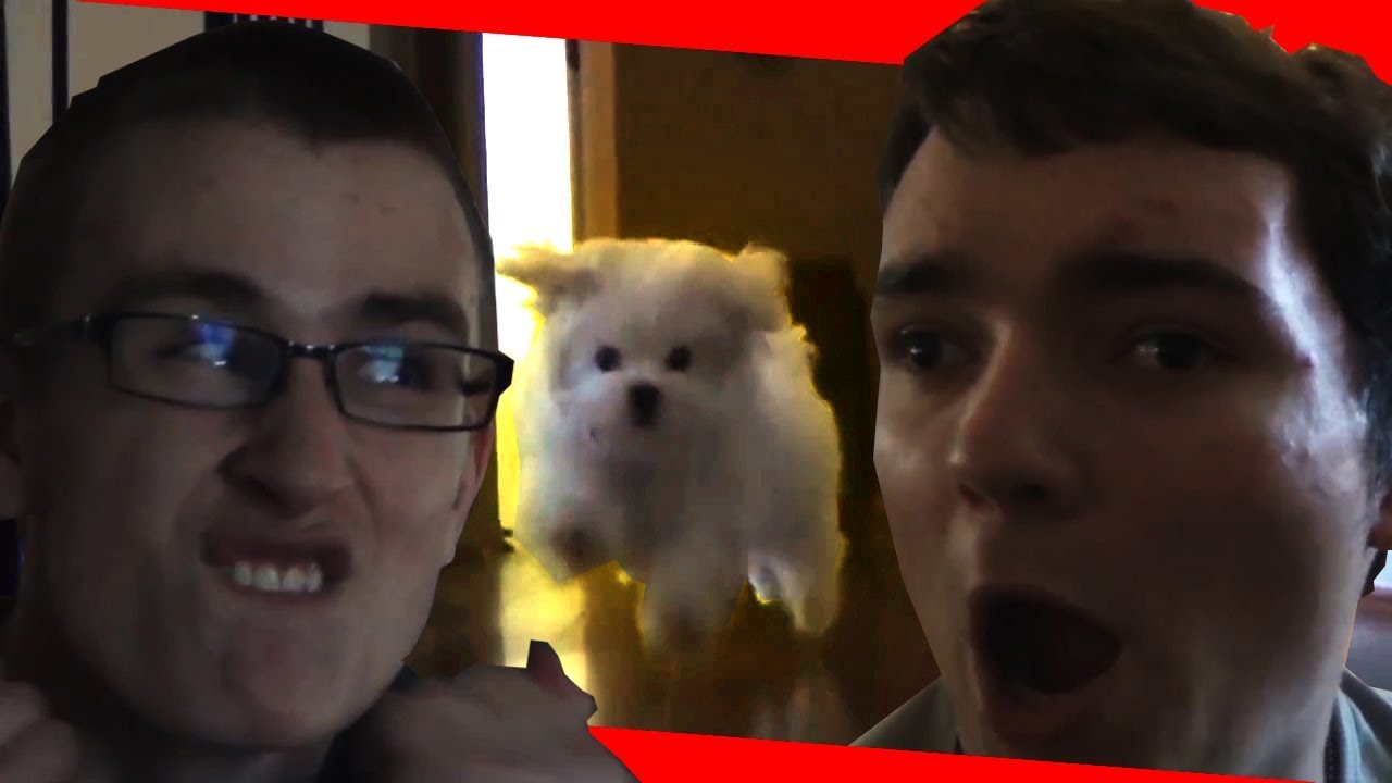 Zane and Colton Make a Video - YouTube