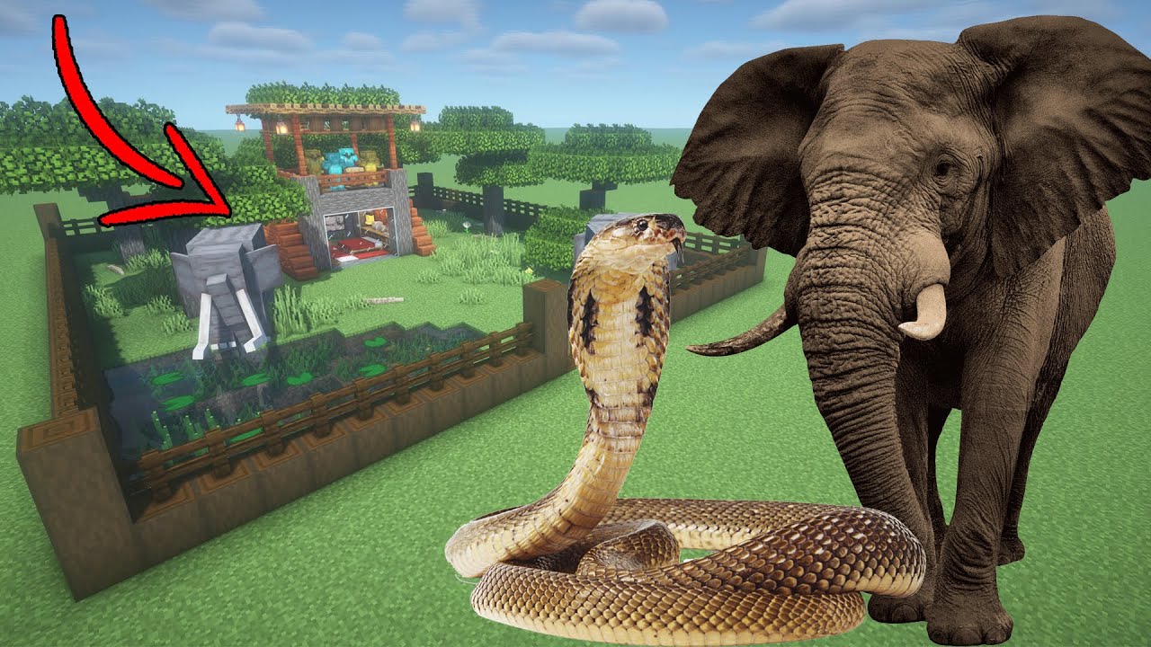 How To Live Inside a Snake and Elephant Farm in Minecraft PE - YouTube