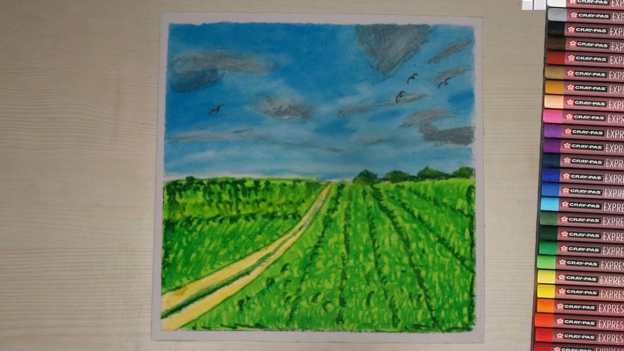 How To Draw Scenery With Oil Pastel | Oil Pastel Scenery | Paddy Field ...