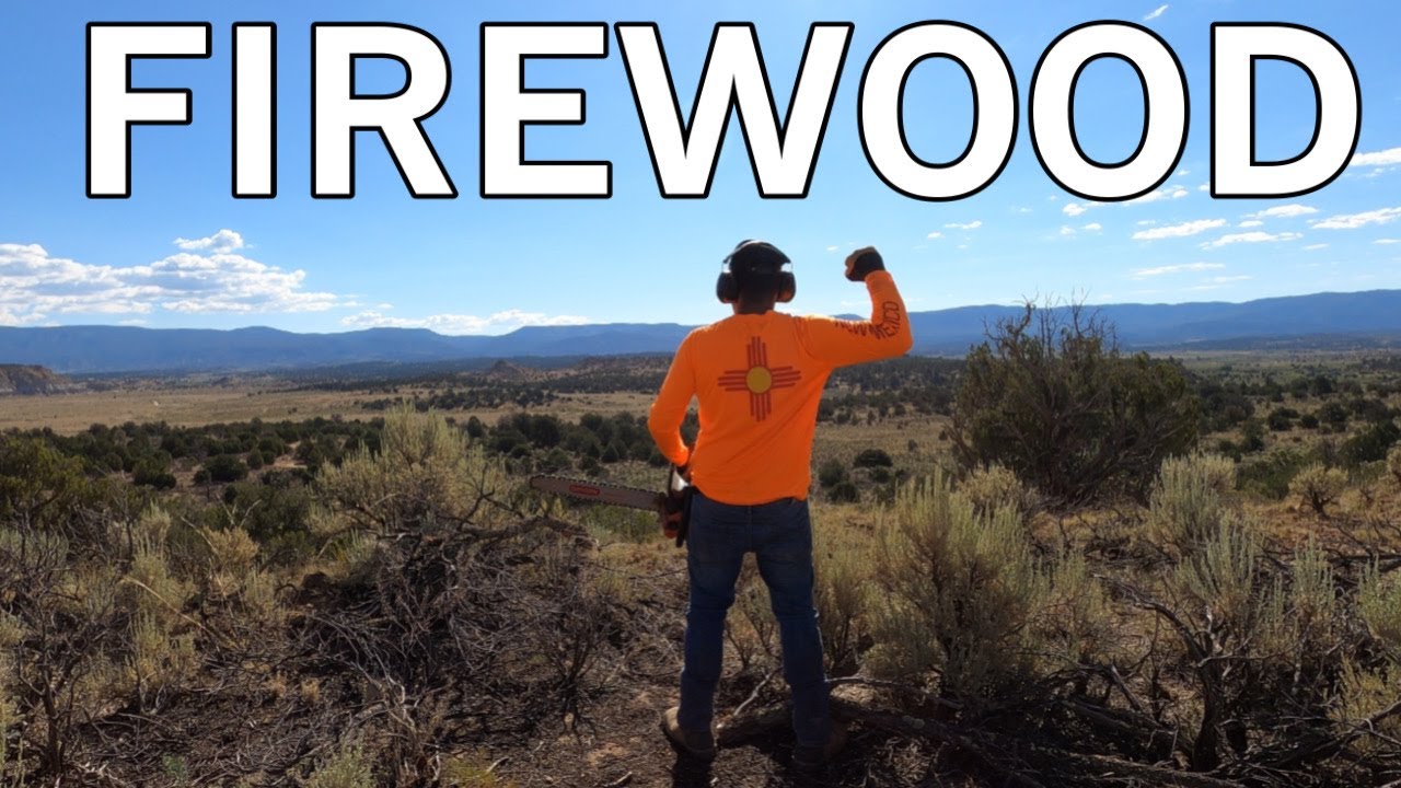 Solo firewood Pinyon Cutting in New Mexico ! - YouTube