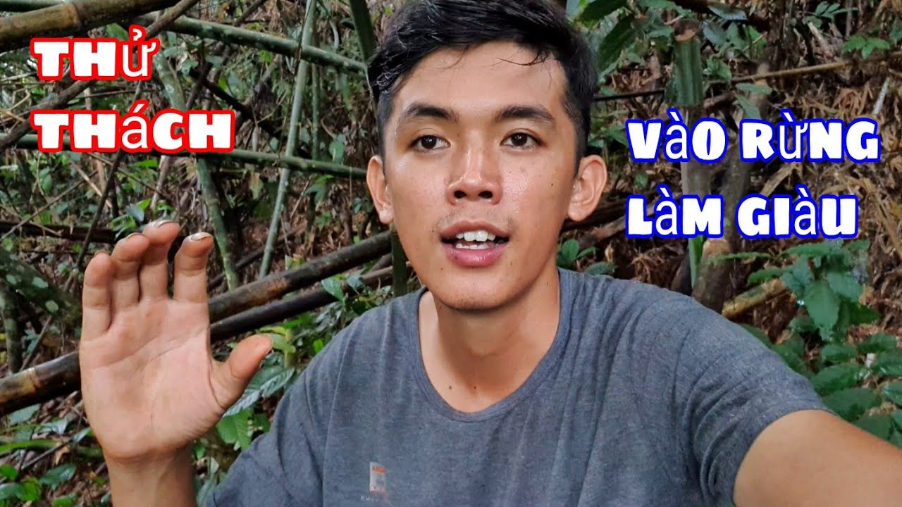 Sang Vlog Thử Thách Làm Giàu Từ Rừng - YouTube