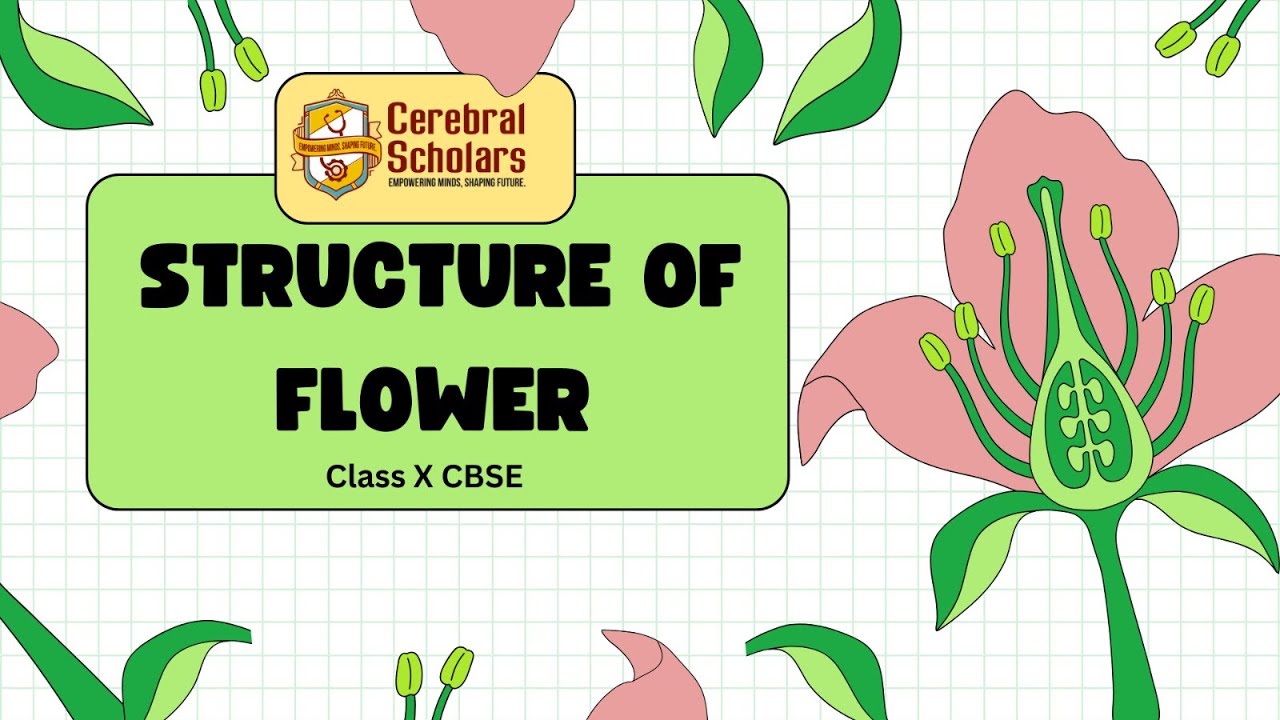 Structure of Flowers Class X CBSE - YouTube