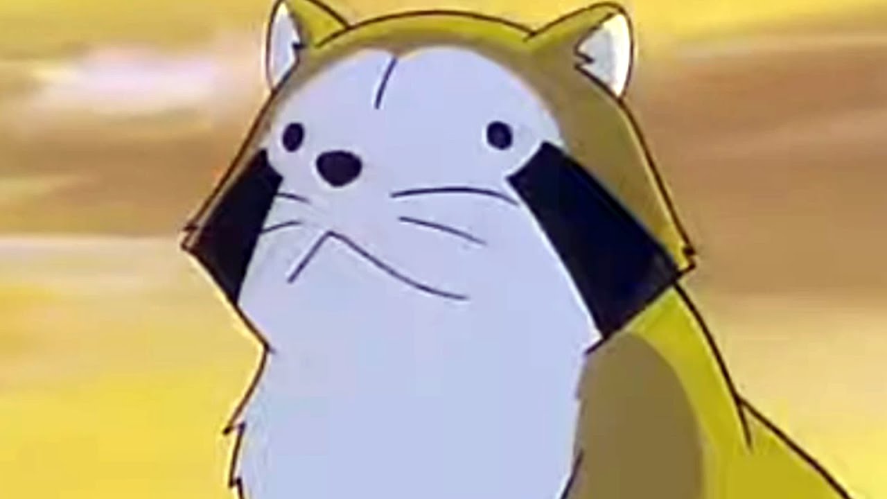 The Anime That Caused Japan's Raccoon Infestation - YouTube