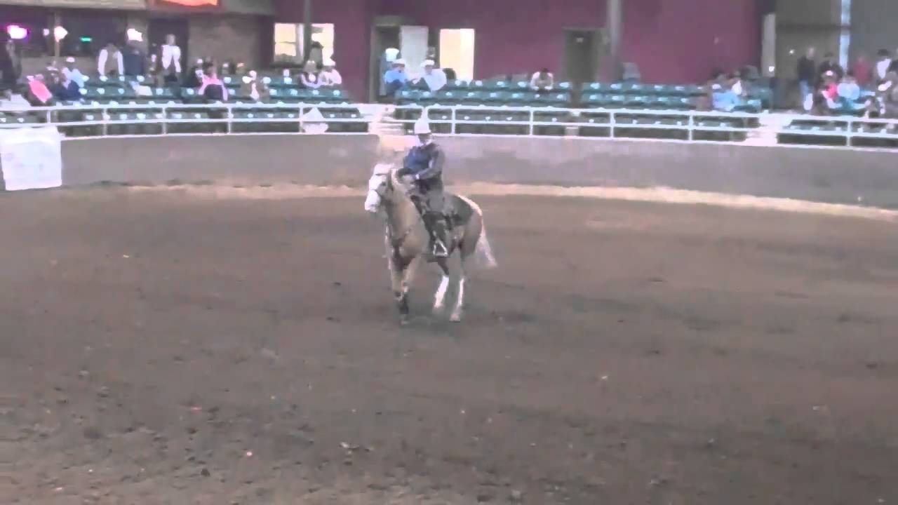 Barry Nadell at Globe 2011 - YouTube