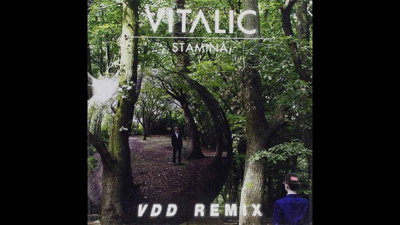 Vitalic - Stamina ( VDD REMIX ) - YouTube