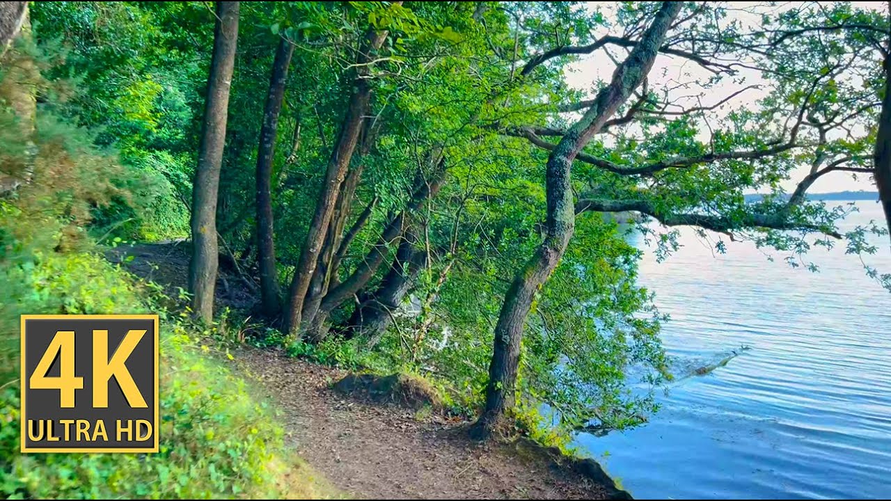 Calming River Nature Walk 4K (With Ambient Nature Sounds And Music ...