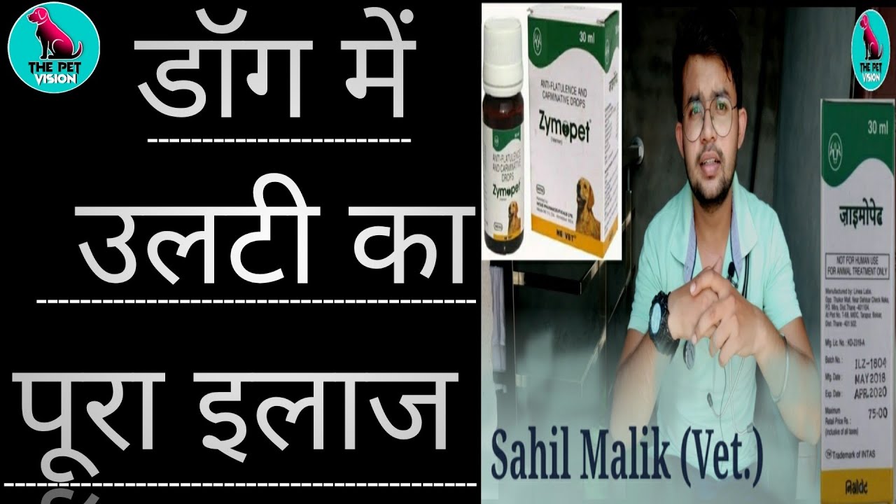 Vomiting in dogs/complete cure /THE PET VISION/SAHIL MALIK( VET.) - YouTube