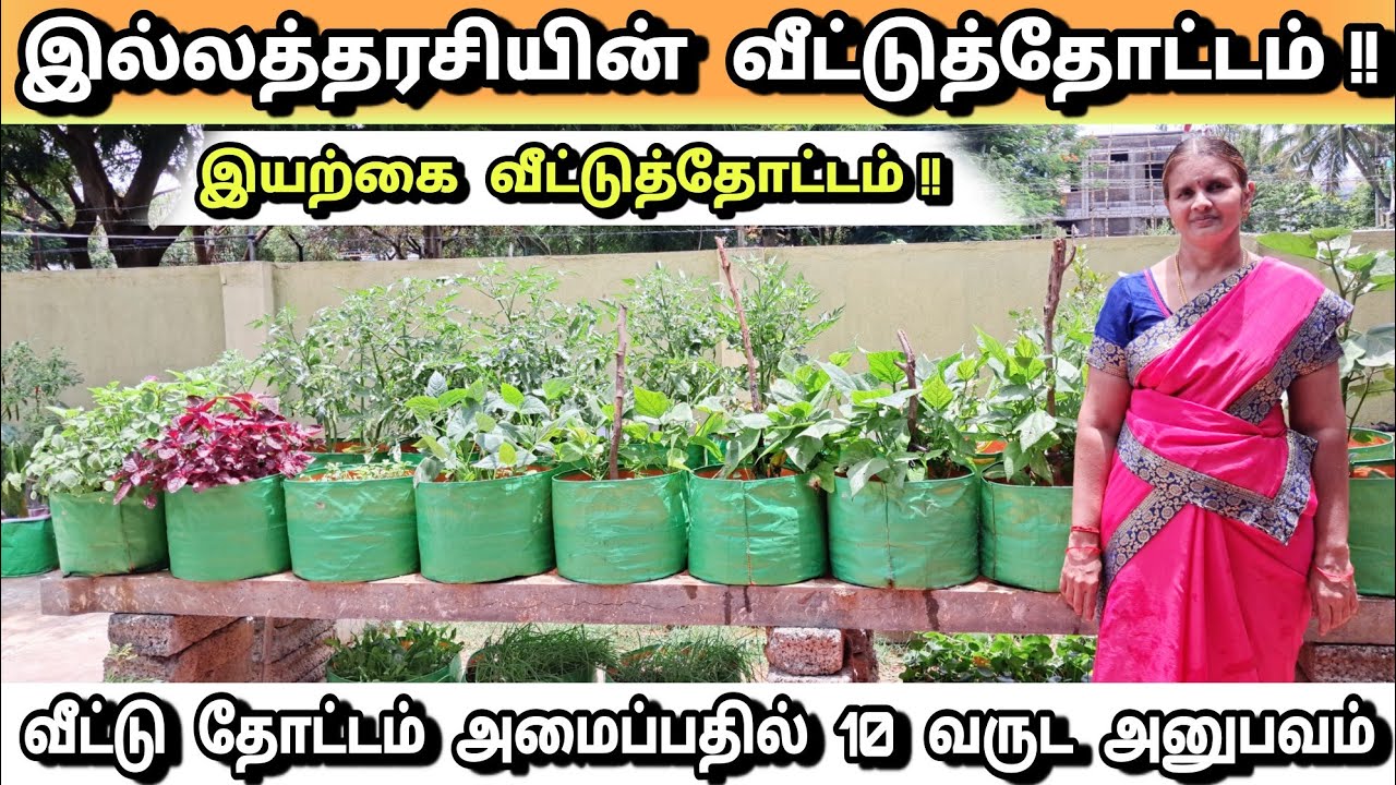 இல்லத்தரசியின் 10 வருட வீட்டுத்தோட்டம் | veetu thottam valarpathu epadi ...