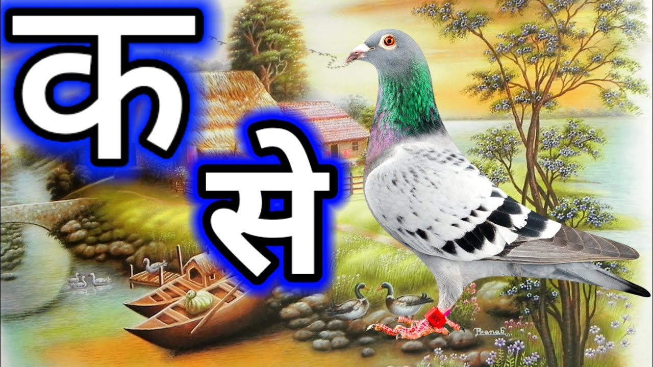 क से कबूतर ख से खरगोश ग से गमला घ से घर हिंदी वर्णमाला वीडियो Hindi ...