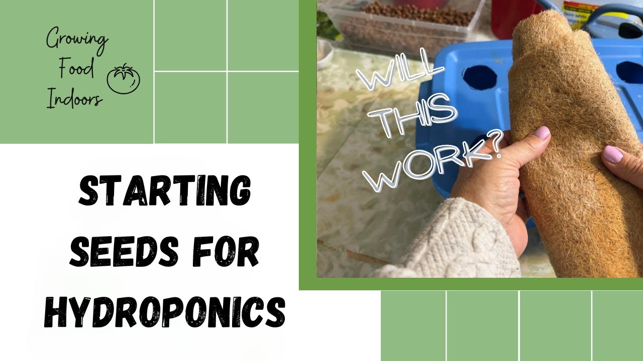 Starting Seeds for Hydroponics Using Hemp Grow Mats - YouTube