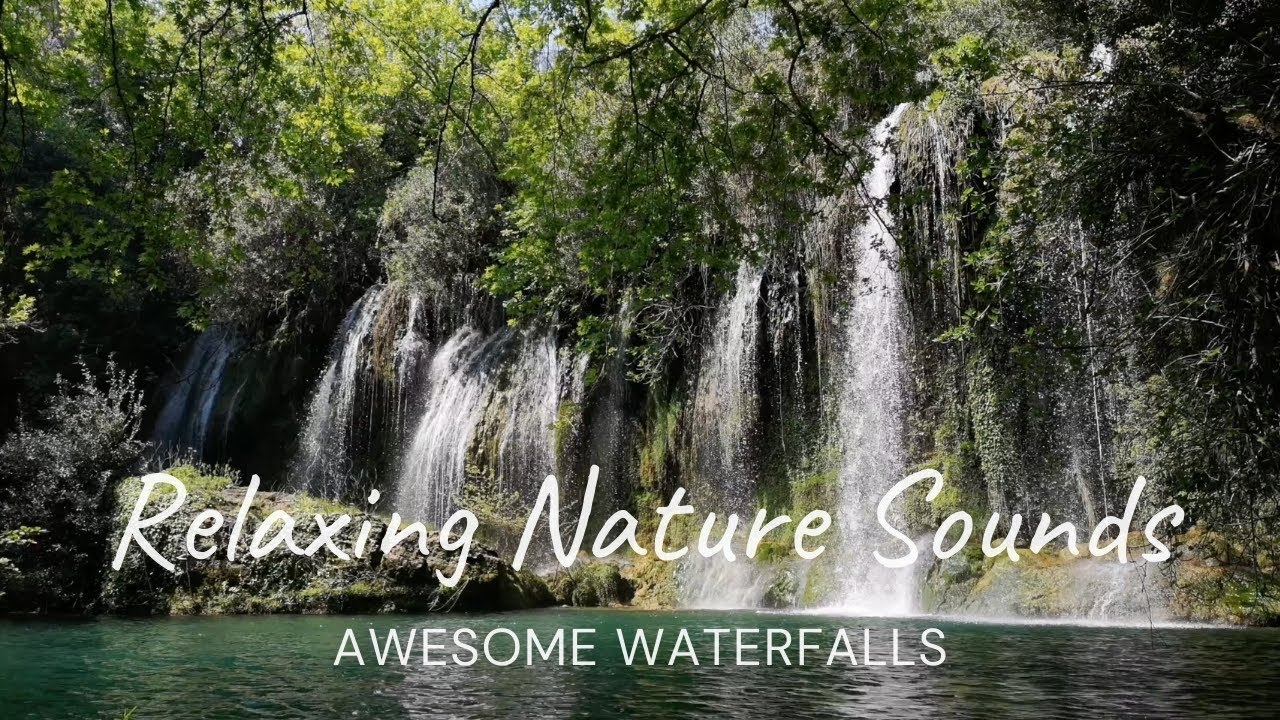 Relaxing Forest Waterfalls - Nature Water Sounds with Bird Chirping ...