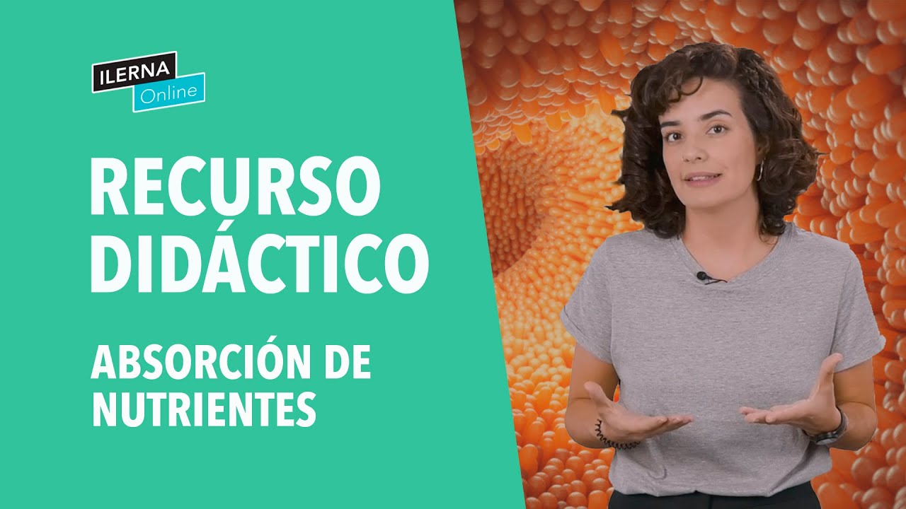 Absorción de nutrientes - YouTube