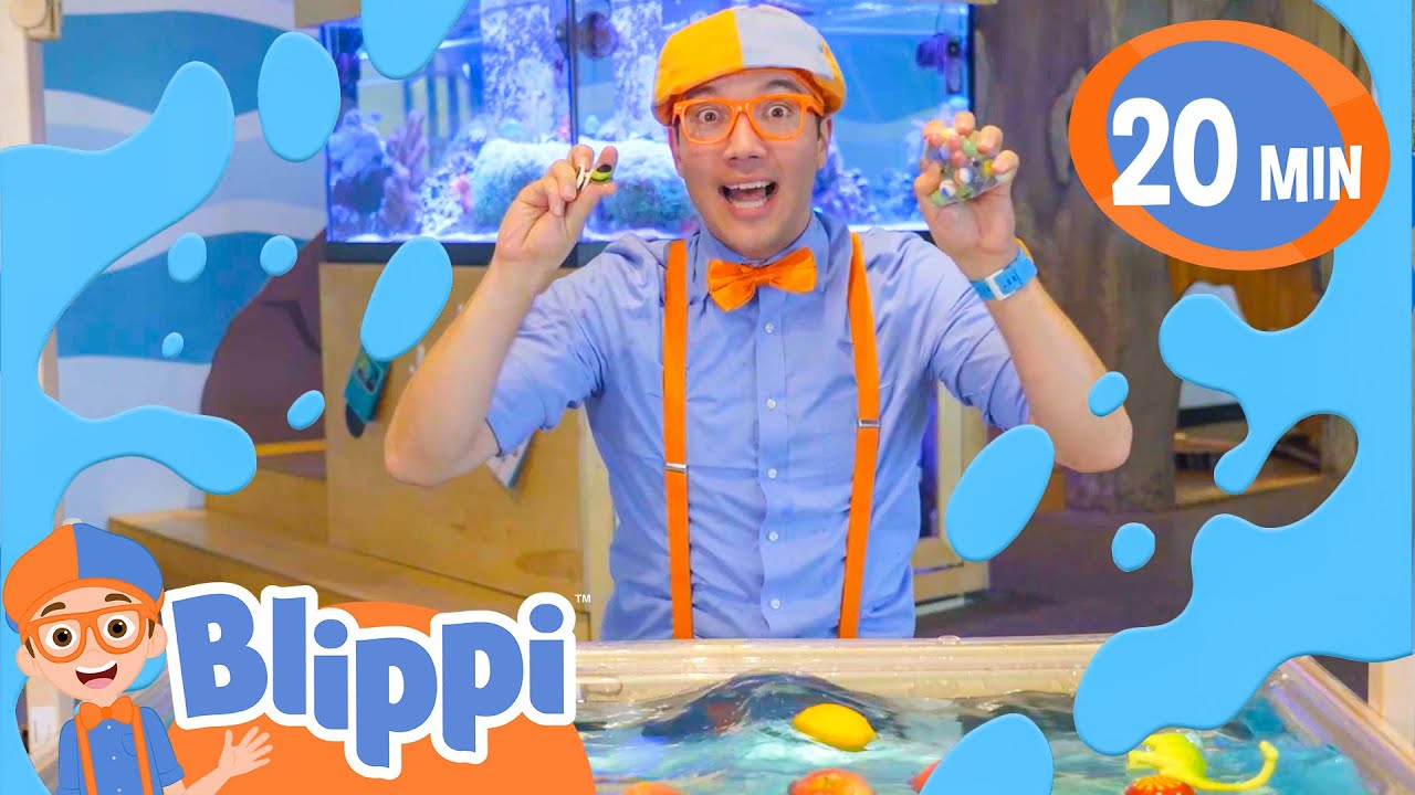 Sink Or Float Song🌊 | Blippi Songs 🎶| Educational Songs For Kids - YouTube