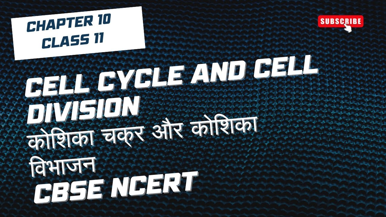 Cell Cycle and Cell Division Chapter 10 Class 11 Cbse Ncert - YouTube