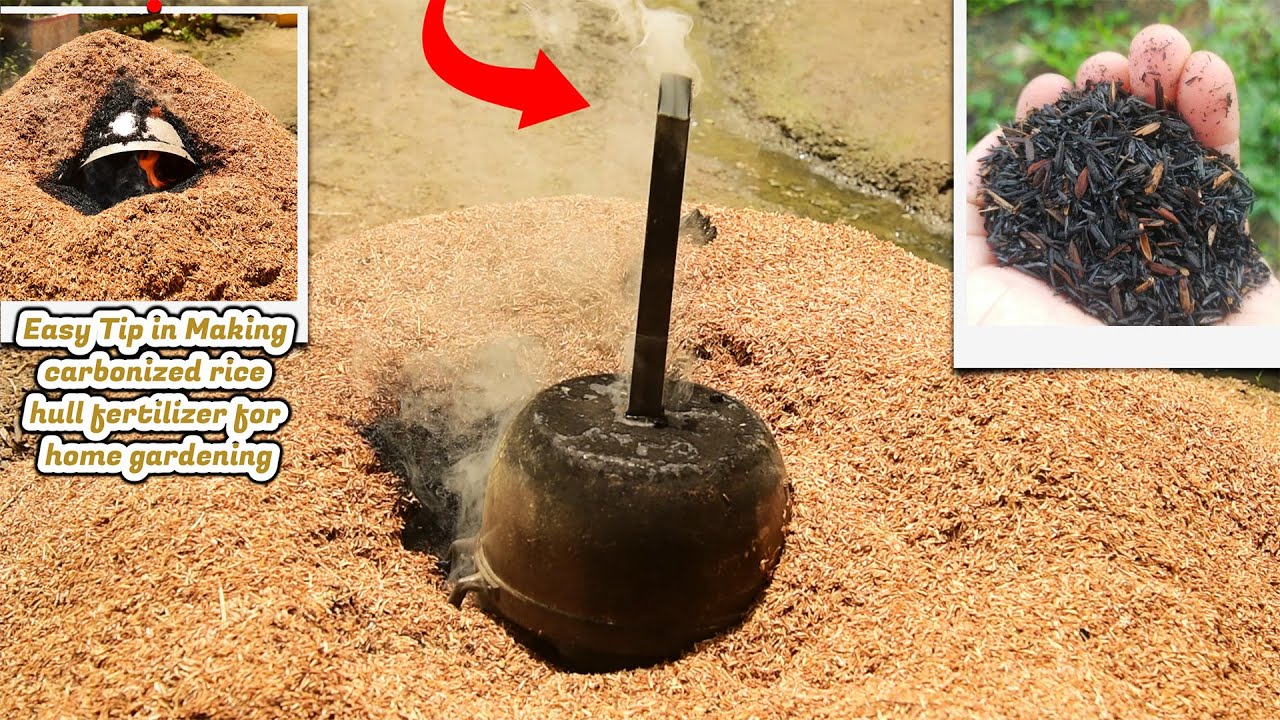 How to make carbonized rice hull fertilizer for home gardening ...