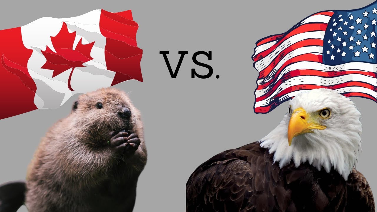 Comparing Canadian and American Politics - YouTube
