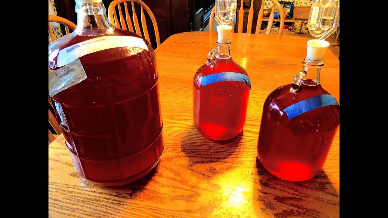 When Is Primary Fermentation Complete? - YouTube