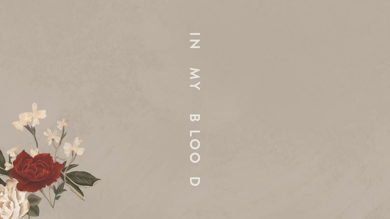 《In My Blood 》Shawn Mendes 中文字幕 - YouTube