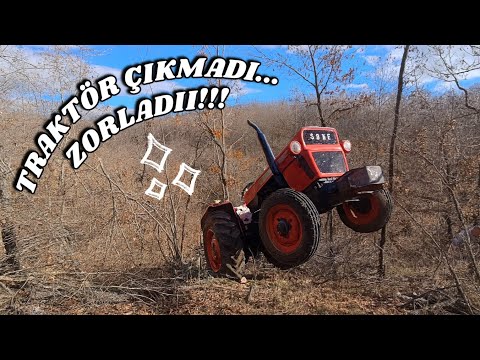 ORMANDAYIZZ... / ZOR ÇIKTIKK!! 🚜🪵