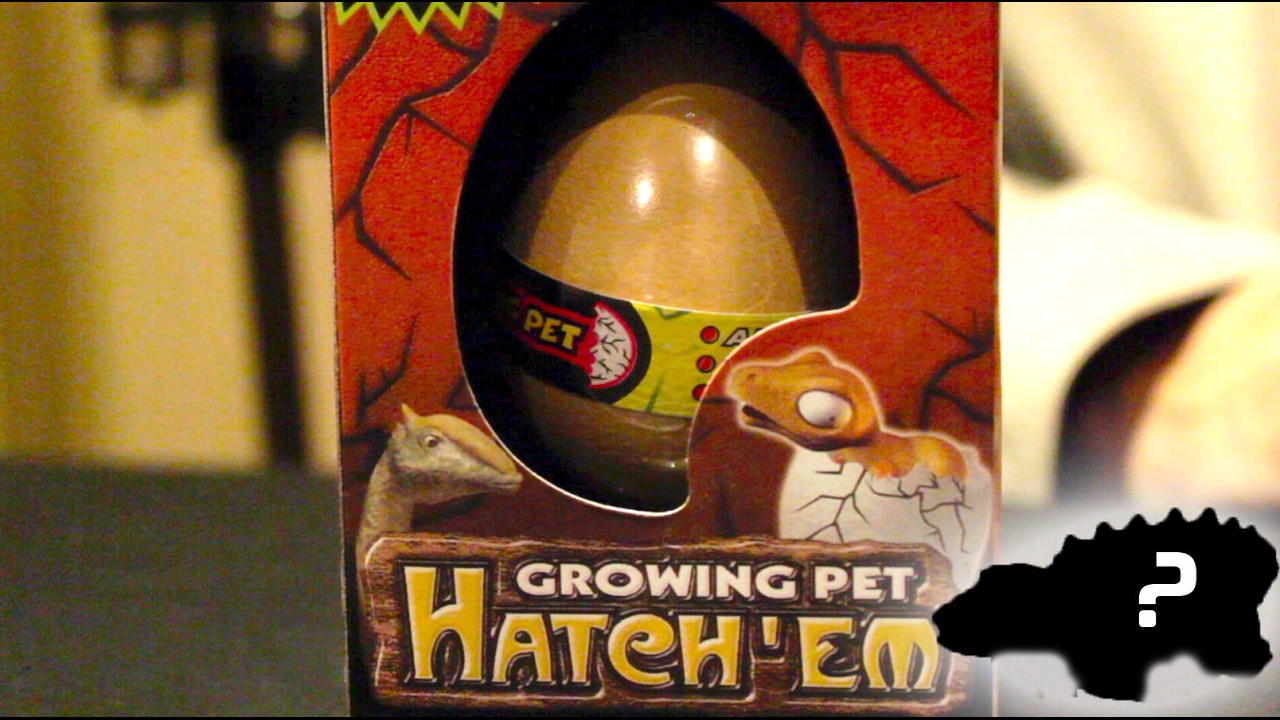 Hatch 'em Growing Pet - Mystery Unboxing - YouTube
