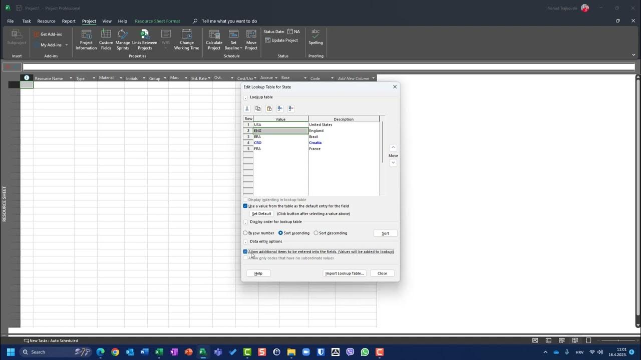 133. Customizing fields and Lookup Values for a Custom Fields - Microsoft Project Online - YouTube
