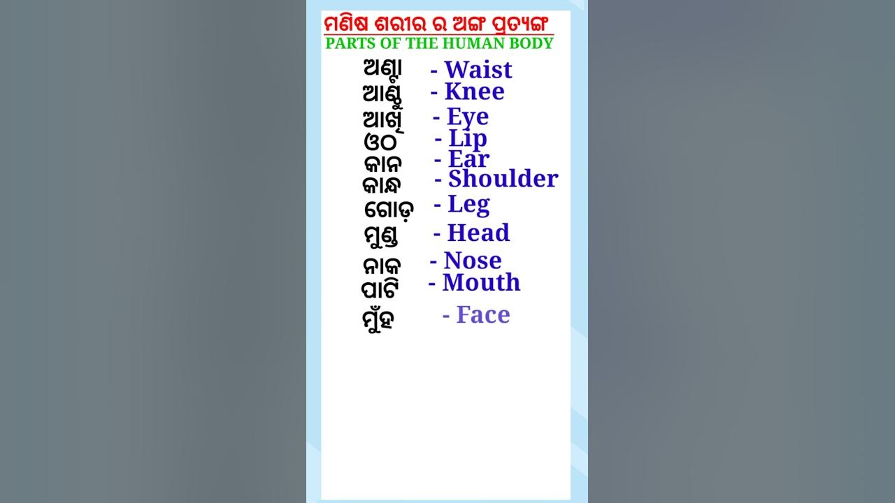 Body Parts Name Odia English Human Body Parts body-parts-name-odia-english-human-body-parts