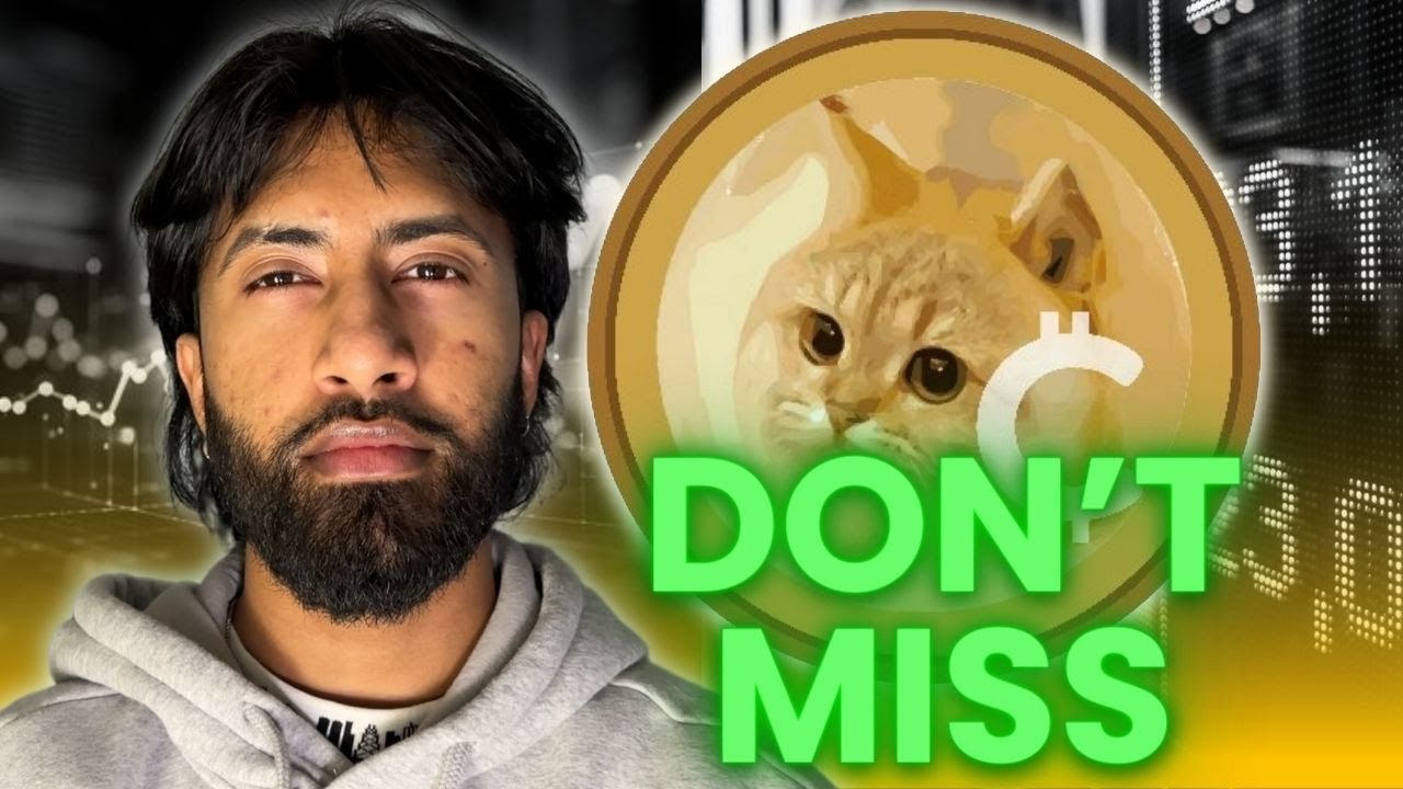 $CAT COIN IS A HIDDEN GEM! TEAM IS WORKING! INSANE POTENTIAL - YouTube