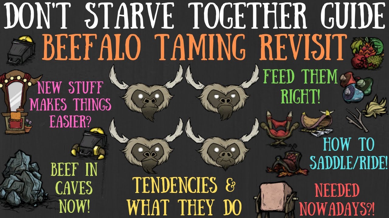 Don't Starve Together Guide: Beefalo Taming Revisit - Easier Now? Worth ...