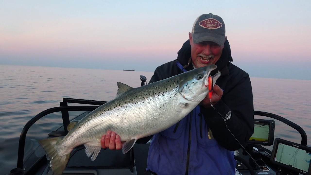 Detour Passage Atlantic Salmon Eps 1901 - YouTube