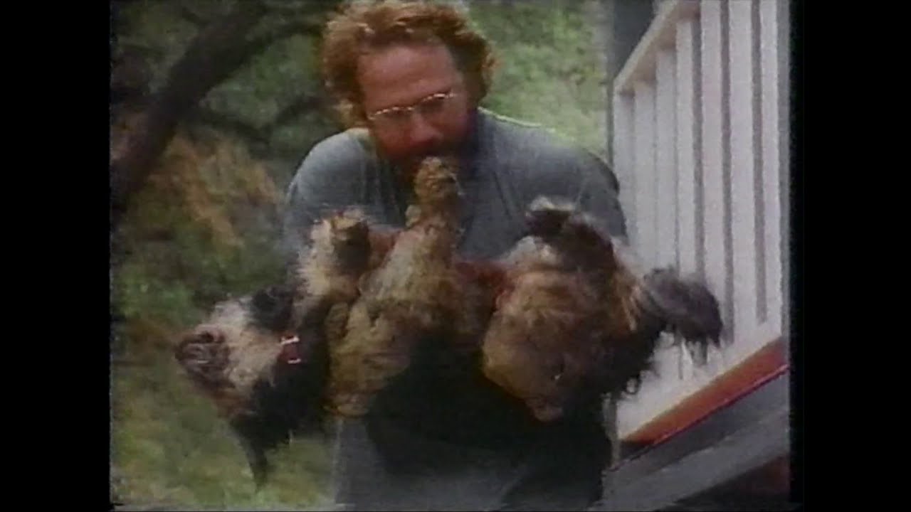 Strays USA Network Premiere TV Movie Ad #1 (1991) - YouTube