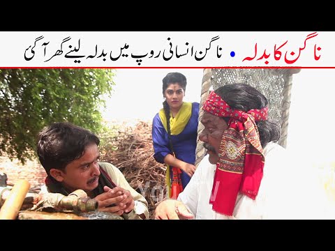 Wada Number Daar kirlo Noori & Bhola Mukho Kirli New Funny Video Nagan Ka Badla | You Tv Funny 2022